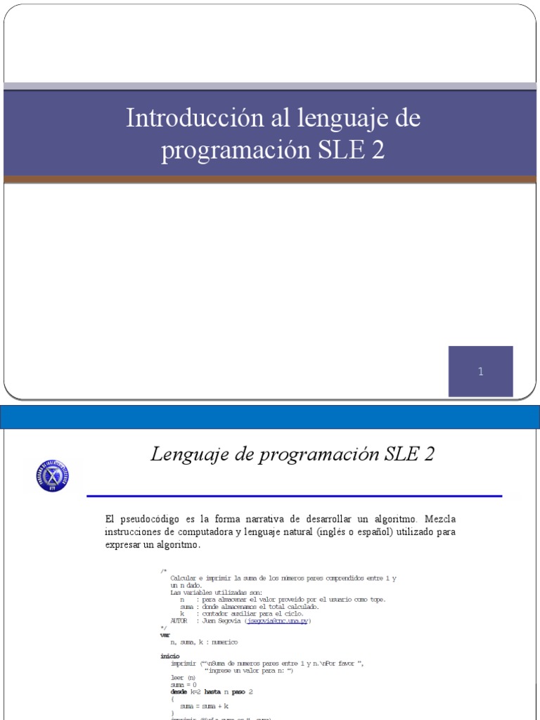 Presentación SLE | PDF | Algoritmos | Programación de computadoras