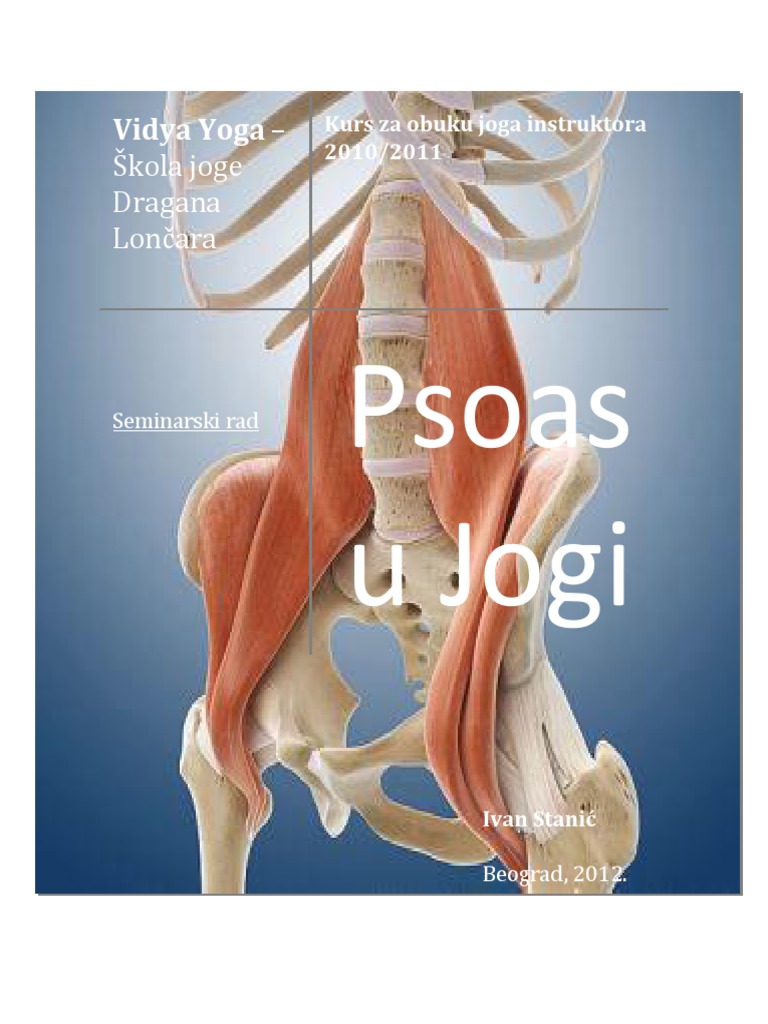 Ivan Stanic PDF | PDF