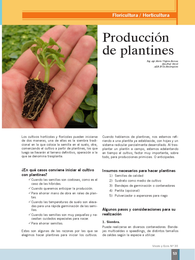 Produccion de Plantines | PDF | Siembra | Germinación