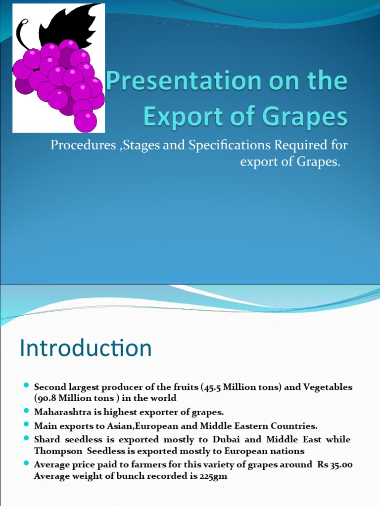 Export Project On Grapes 97 | PDF | Business | Grape