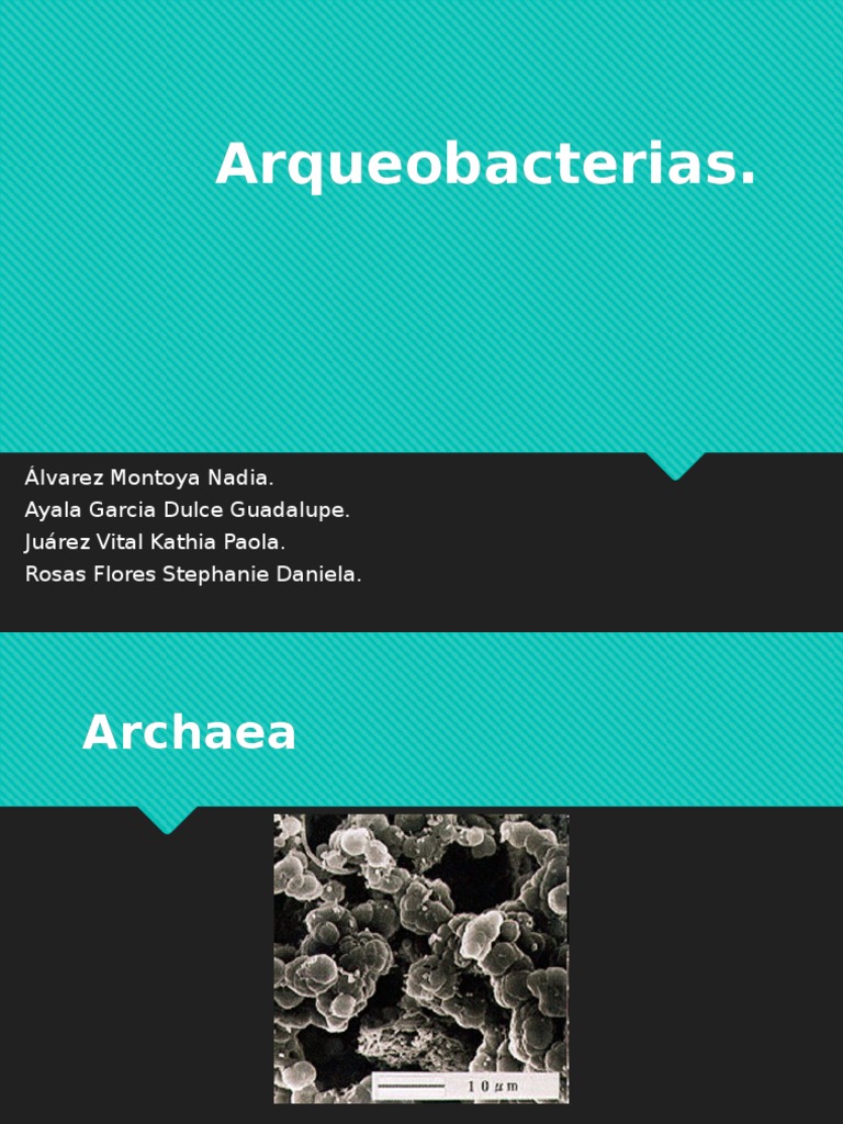 Arqueas | PDF | Archaea | Eucariotas