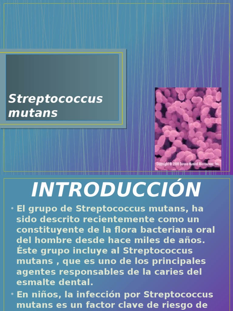 Streptococcus Mutans | PDF | Estreptococo | Las bacterias
