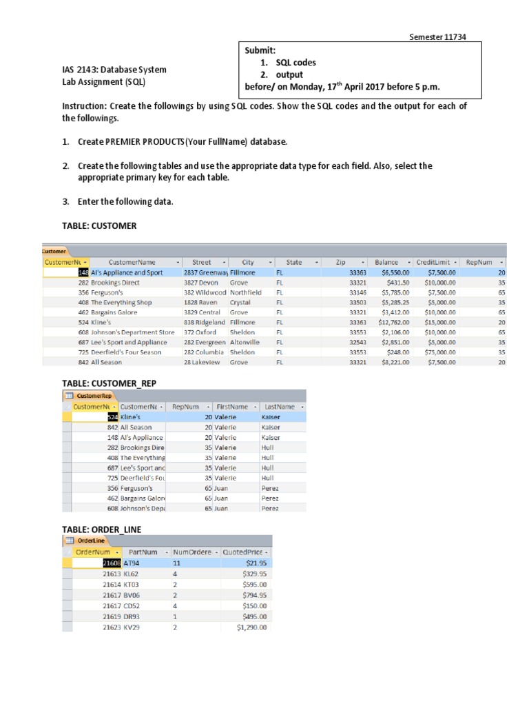 IAS 2143 Lab Assignment SQL | PDF | Sql | Table (Database)