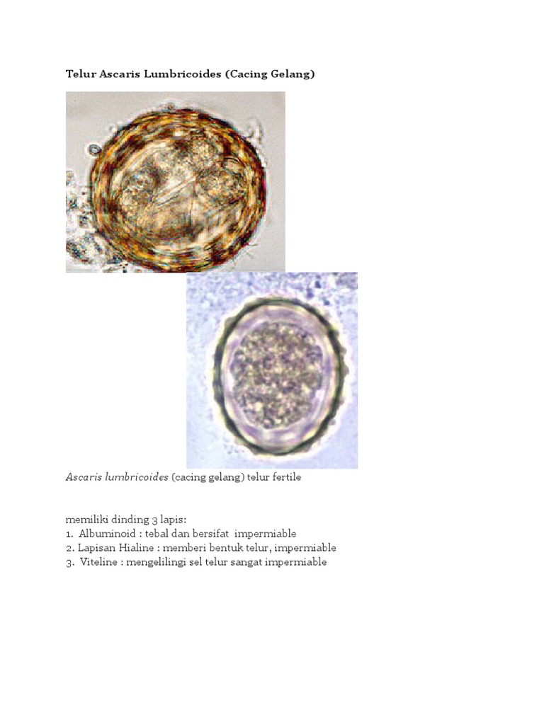 Gambar Telur Cacing | PDF