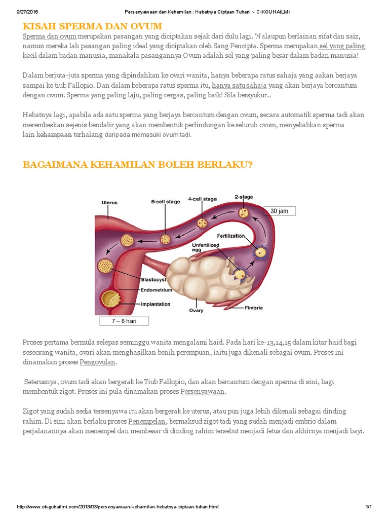 Persenyawaan Dan Kehamilan - Hebatnya Ciptaan Tuhan! CiKGUHAiLMi | PDF
