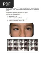 Ortoforia, Endoforia, Exoforia | PDF | Visión | Oftalmología