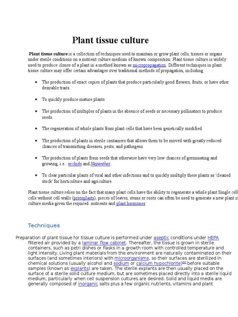 Plant Tissue Culture | PDF | Agriculture | Horticulture And Gardening