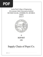 Organisational Structure | PDF | Pepsi Co | Organizational Structure