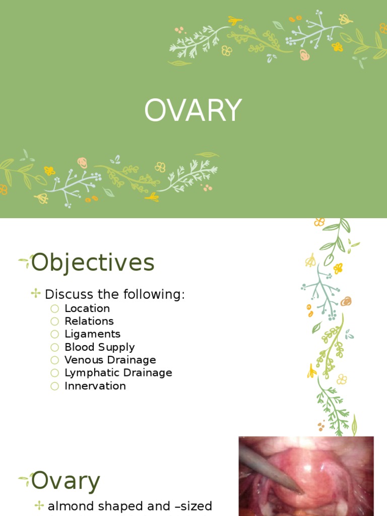 Ovary and Fallopian Tube Anatomy | PDF | Ovary | Uterus