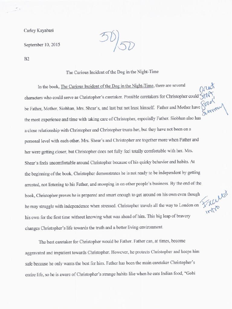 The Curious Incident of The Dog in The Night-Time | PDF