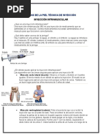 File - 54 - Instructivo de Modo de Uso - Neutromax | PDF | Inyección ...