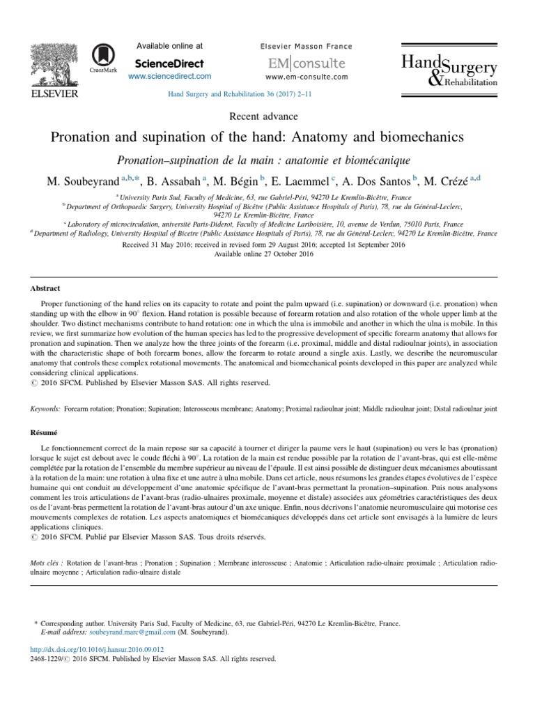 Anatomy of Hand Pronation and Supination | PDF | Elbow | Hand
