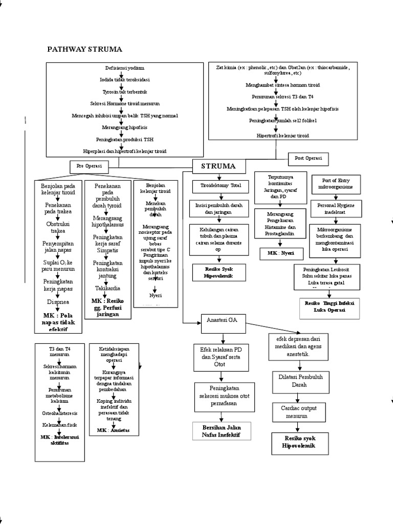 Pathway Struma | PDF
