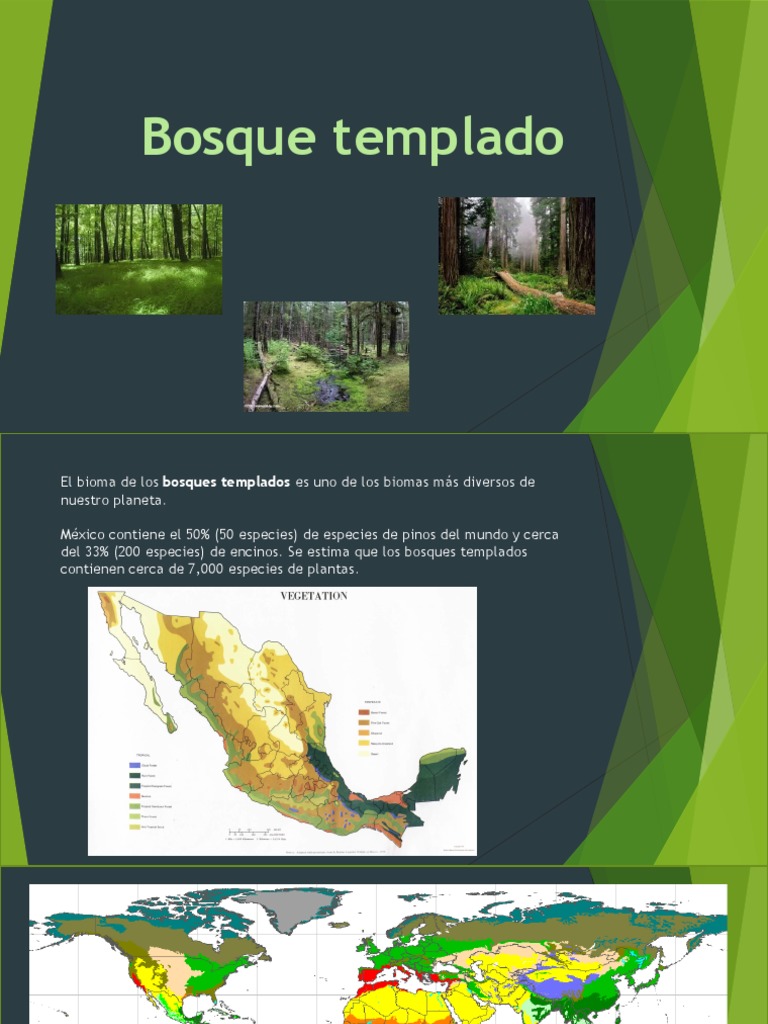 Bosque Templado | PDF