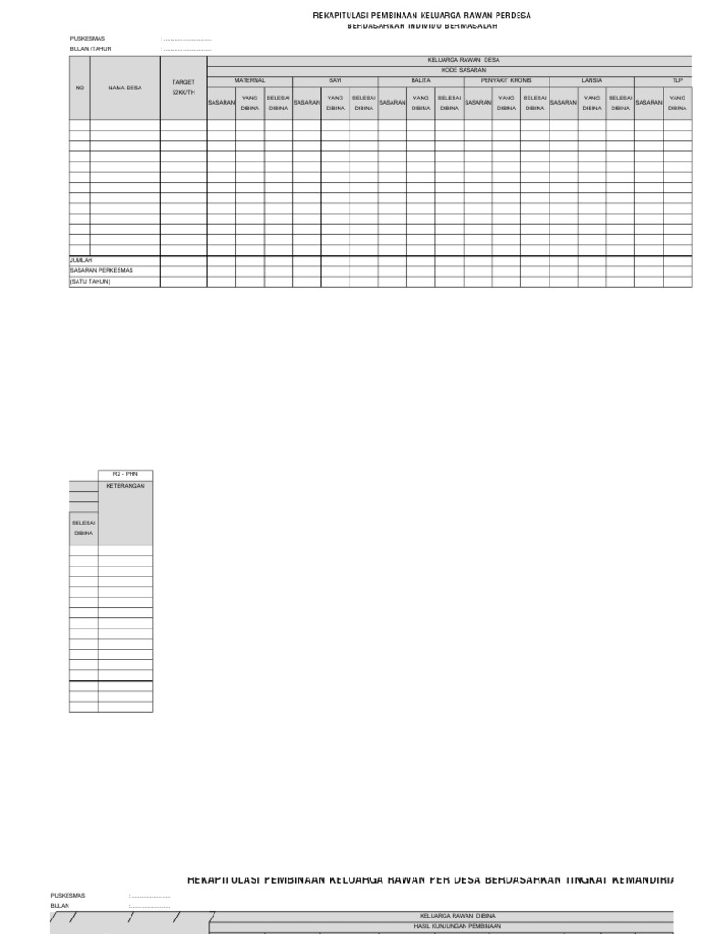 Format Laporan PHN Tahun 2012 | PDF