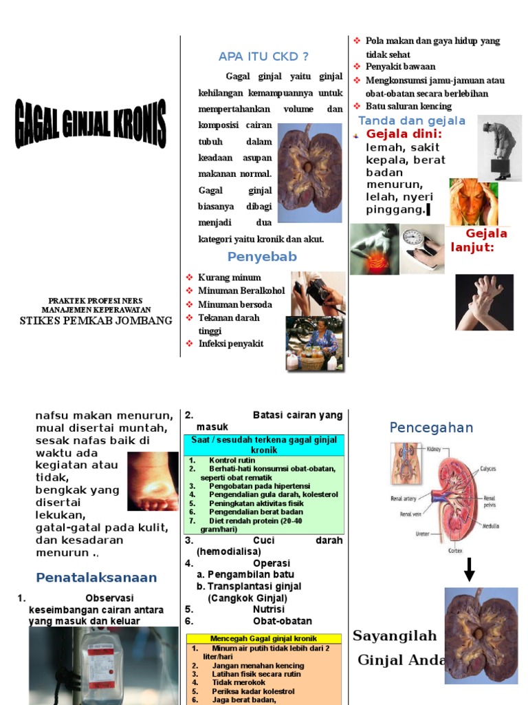 Leaflet CKD | PDF