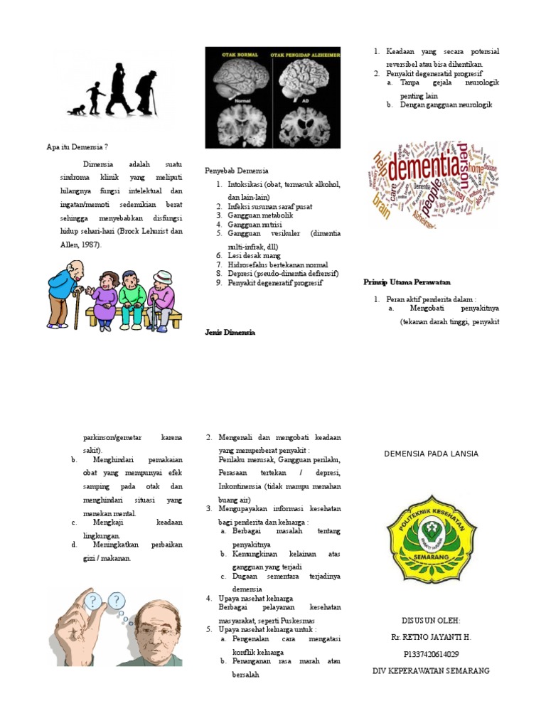 Leaflet Demensia | PDF