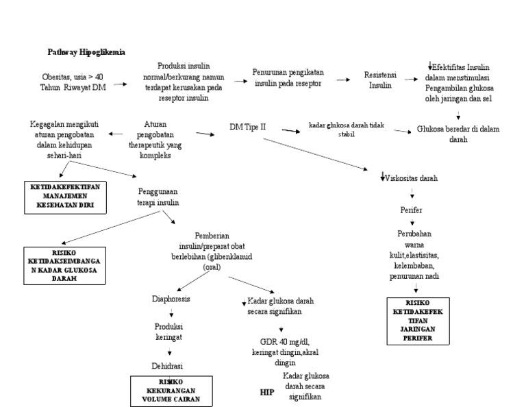 Pathway Hipoglikemia | PDF
