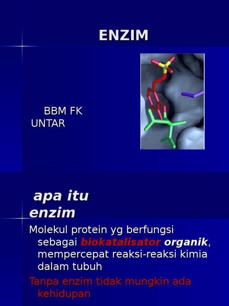 1 Biokimia-Enzim | PDF