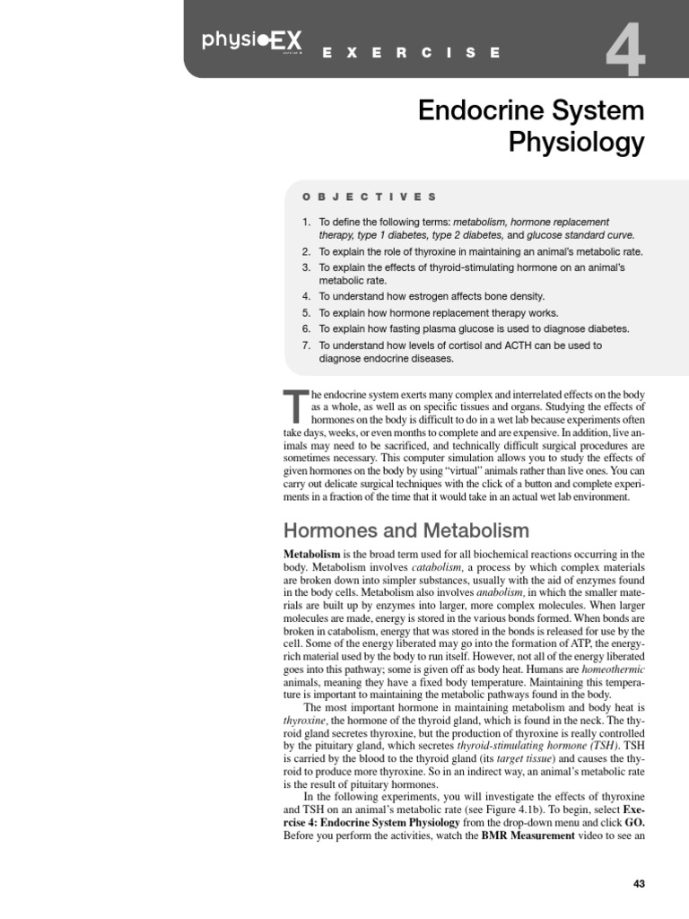 Worksheet Ap04 | PDF | Thyroid Stimulating Hormone | Thyroid