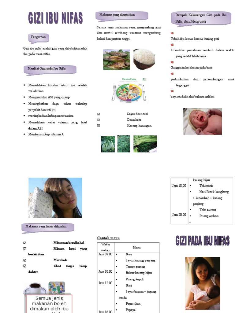 Leaflet Gizi Nifas | PDF