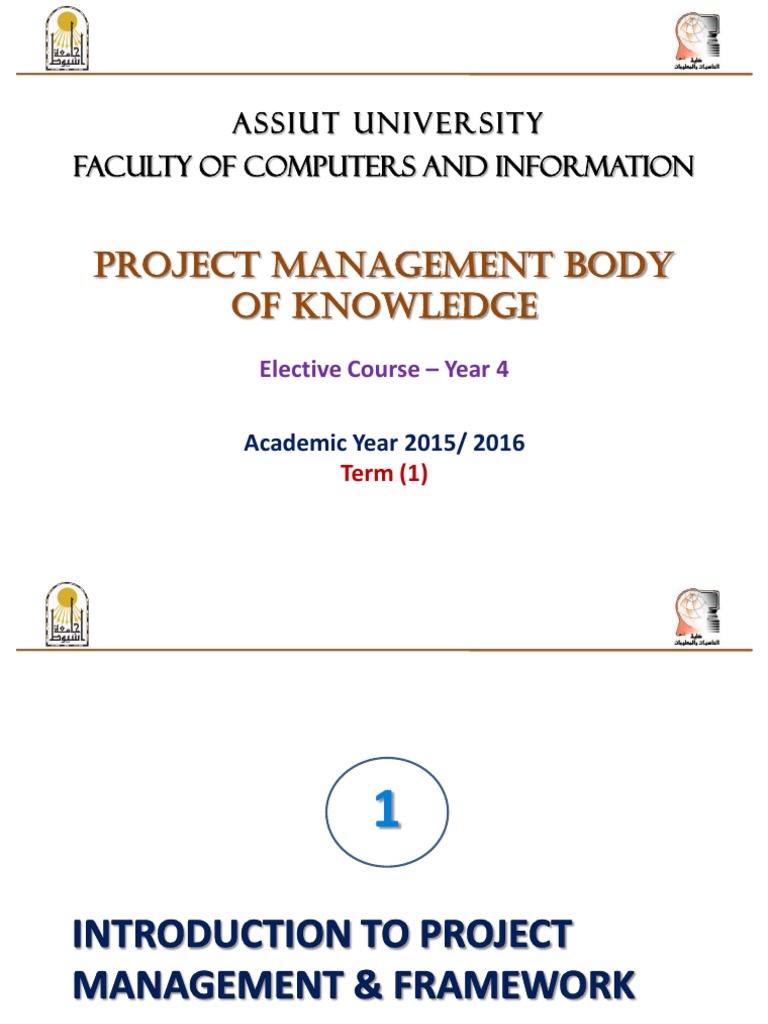 PMBody of Knowledge (Framework Life-Cycle) Leangroup Org | PDF ...