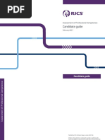 Rtpi Ep Apc Guidance June 2019 | PDF | Experience | Policy