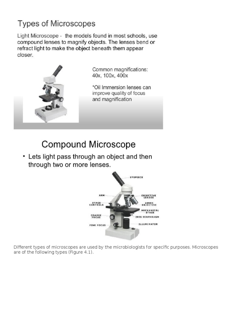 Different Types of Microscopes Are Used by the Microbiologists for ...