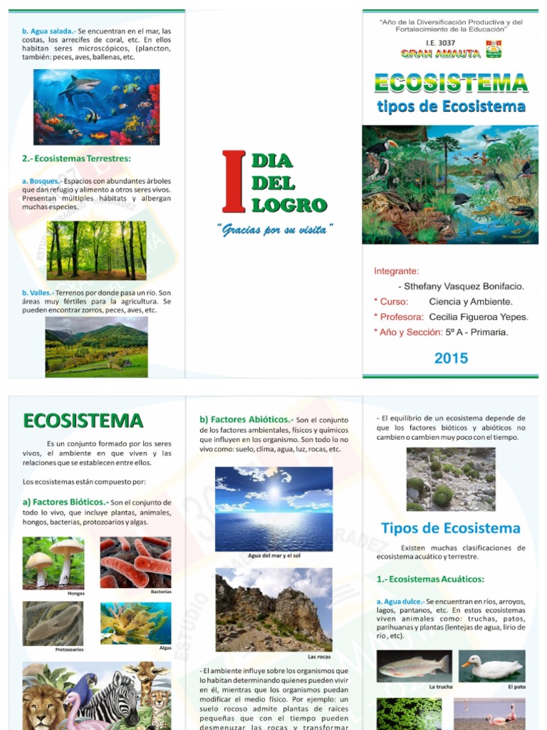 Triptico Del Ecosistema (1) Terminado | PDF