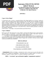 Apostila Krav Maga Atualizada | PDF | Krav Maga | Esportes