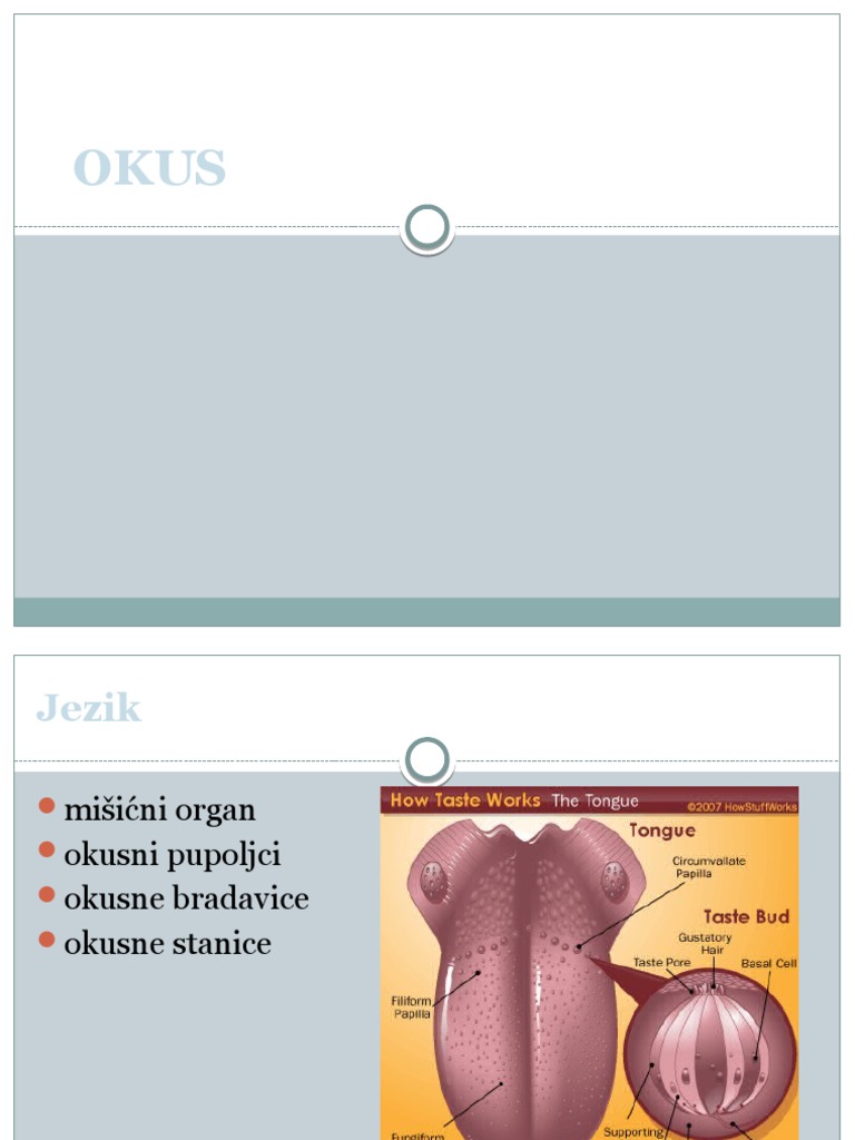 OKUS | PDF