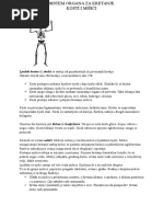 Moje Tijelo, Dijelovi Tijela | PDF
