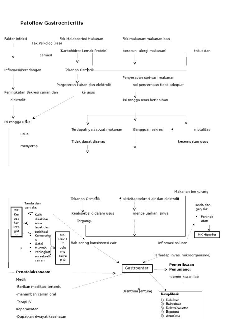 Patoflow Gastroenteritis | PDF