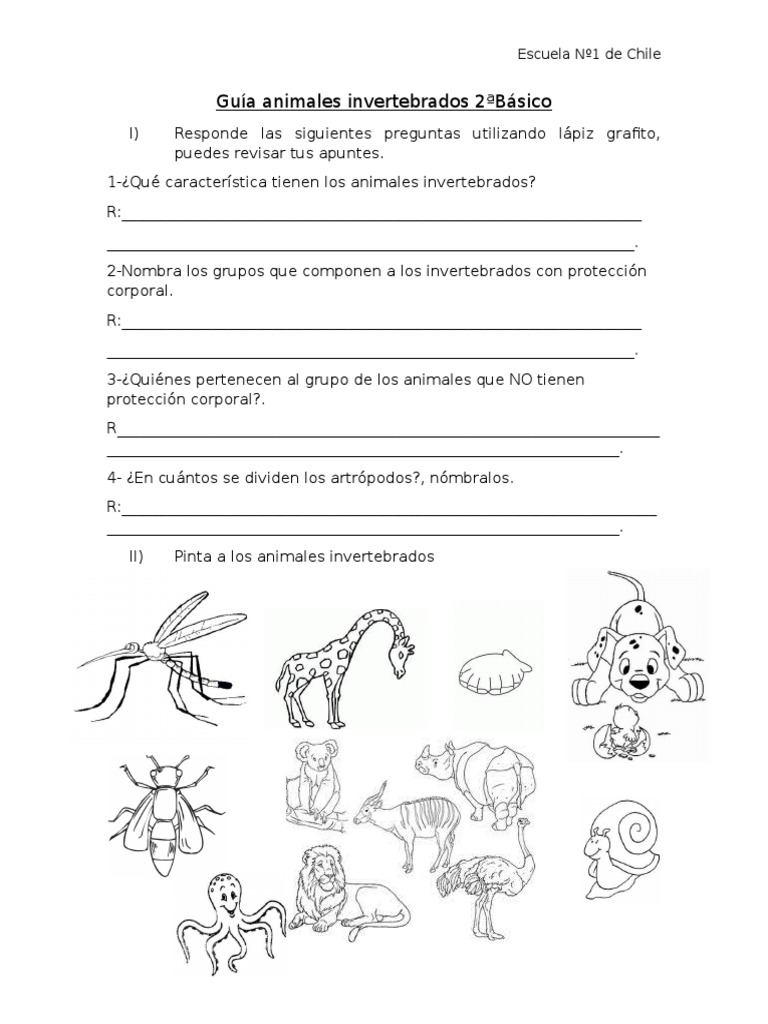 Guía animales invertebrados.docx | Invertebrado | Naturaleza Guía animales invertebrados.docx | Invertebrado | Naturaleza