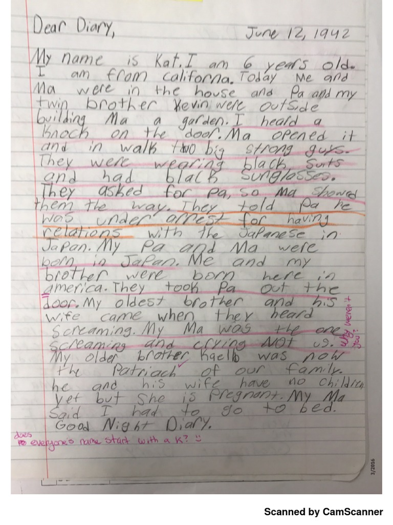 Diary Entry Samples | PDF