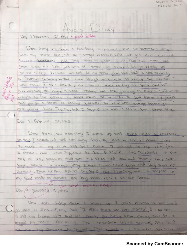 Diary Entry Sample 1 | PDF