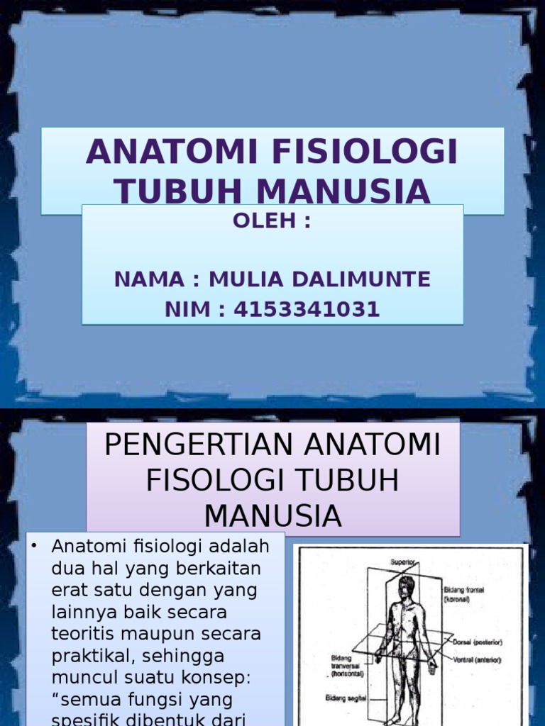 Anatomi Fisiologi Tubuh Manusia | PDF