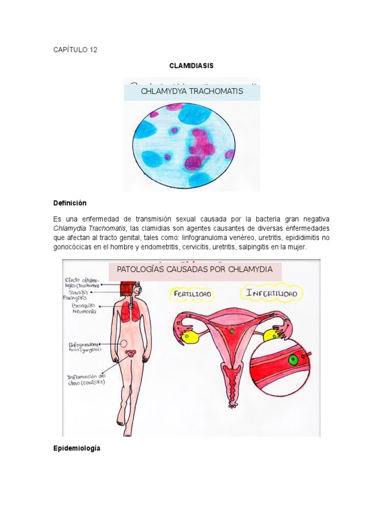 CLAMIDIASIS | PDF | Reproducción humana | Salud sexual