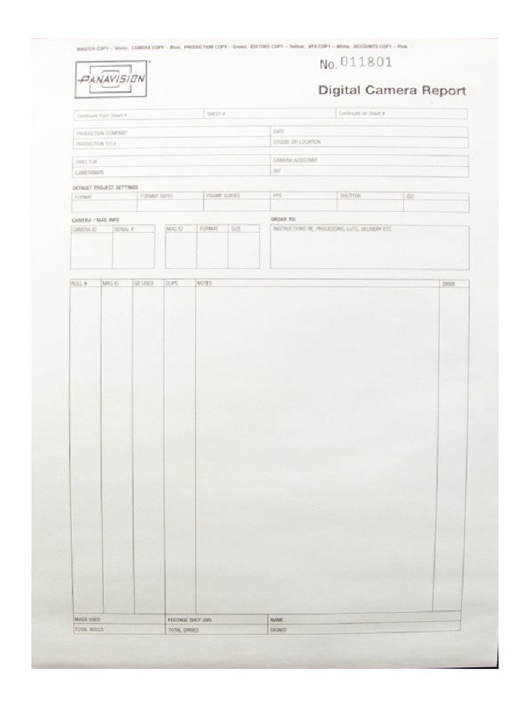 Panavision Digital Camera Report | PDF