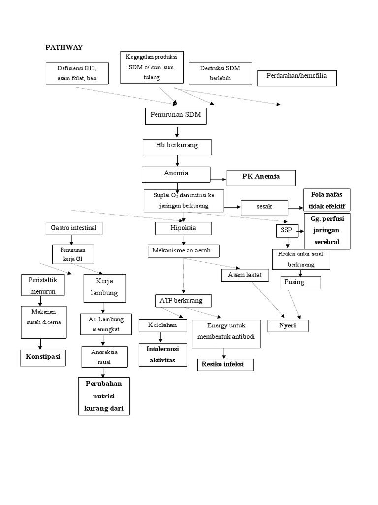Pathway Anemia | PDF
