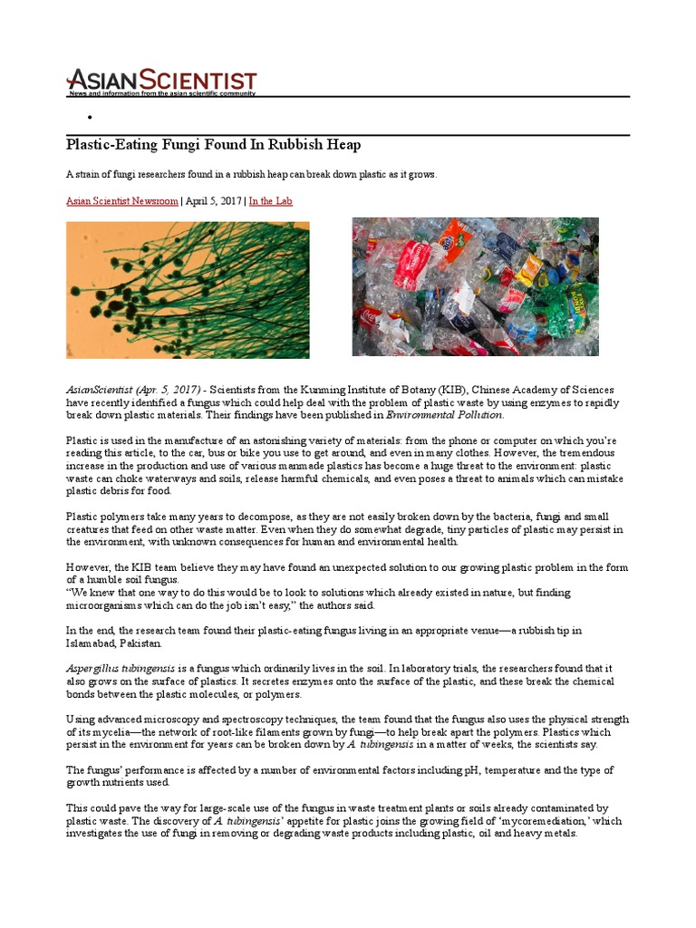 Plastic-Eating Fungi Found in Rubbish Heap | PDF | Plastic | Fungus