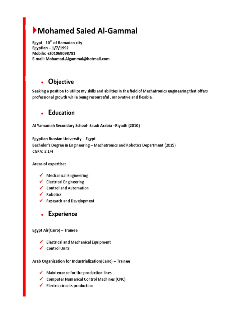 Mohamed Saied Al-Gammal: Mechatronics CV | PDF