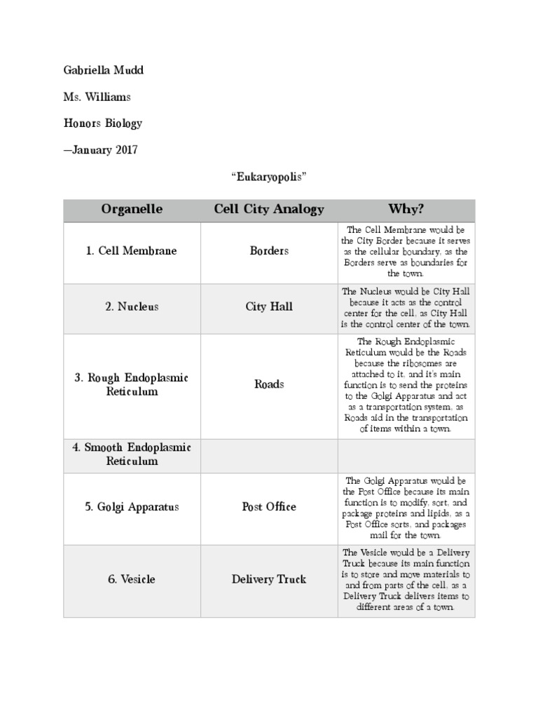 Animal Cell City Analogy
