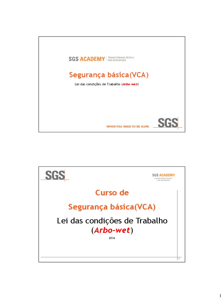 VCA Básico | PDF | Oxigênio | Combustão