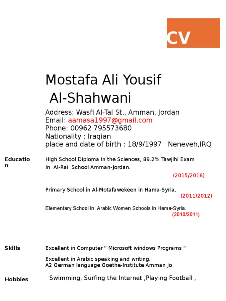 CV of Mostafa Ali Yousif | PDF
