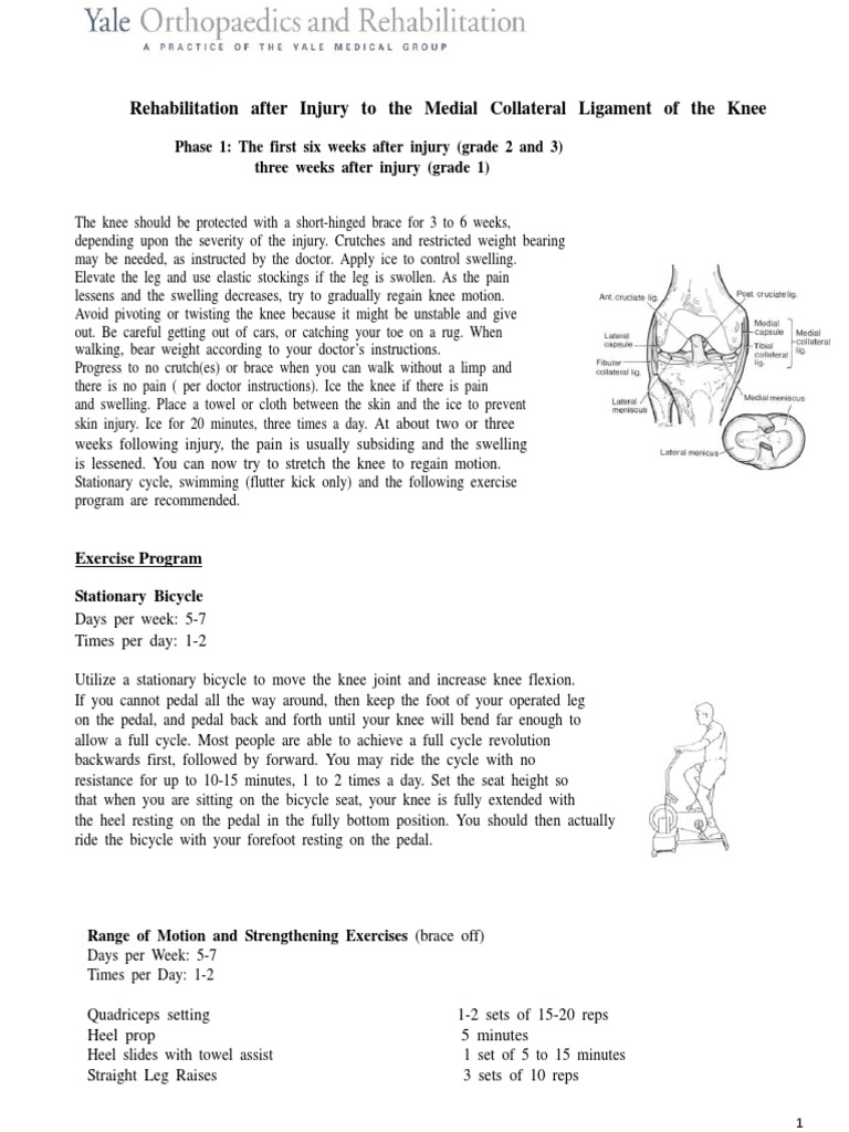 Medial Collateral Ligament Injury MCL Rehabilitation Yale 240271 28716 ...