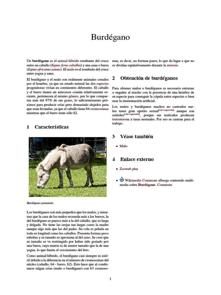 Burdégano | PDF | Équidos | Equus