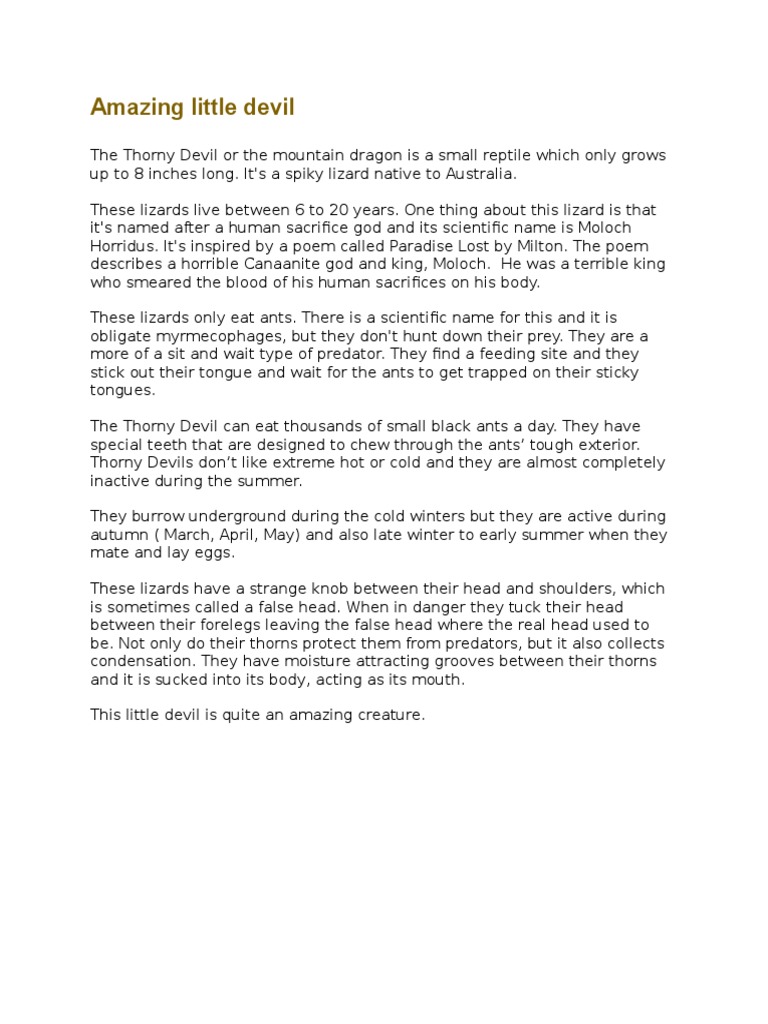 Amazing Little Devil | PDF