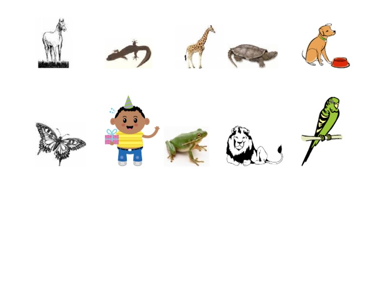 Oviparous Viviparous Animals For Sorting | PDF