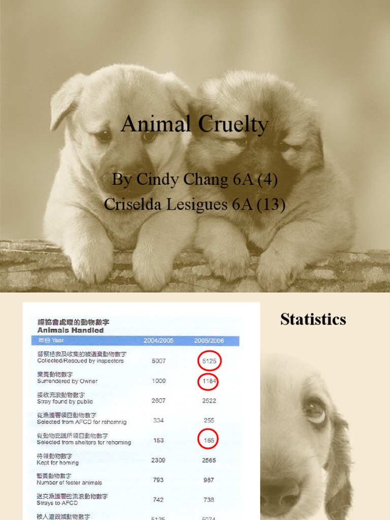 Presentation | PDF | Cruelty To Animals | Fur